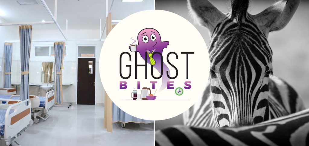Ghost Bites (Harmony Gold | Investec | Life Healthcare | Netcare | NEPI ...