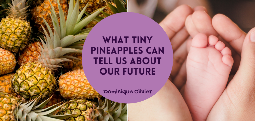What tiny pineapples can tell us about our future - Ghost Mail
