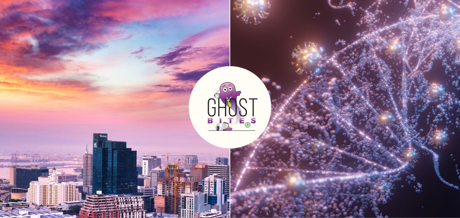 GHOST BITES (Accelerate Property Fund | Life Healthcare) - Ghost Mail