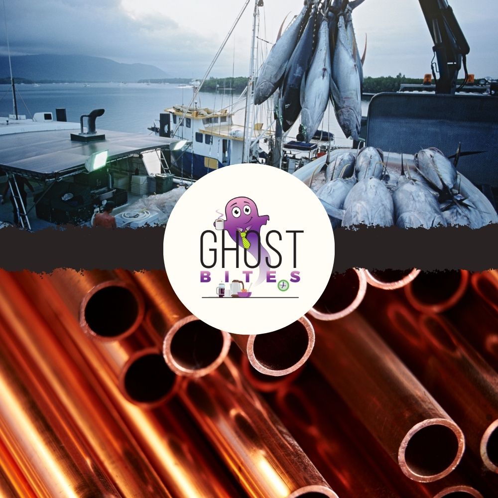Ghost Bites (Harmony Gold | Invicta | Netcare | Oceana | PPC | Prosus ...